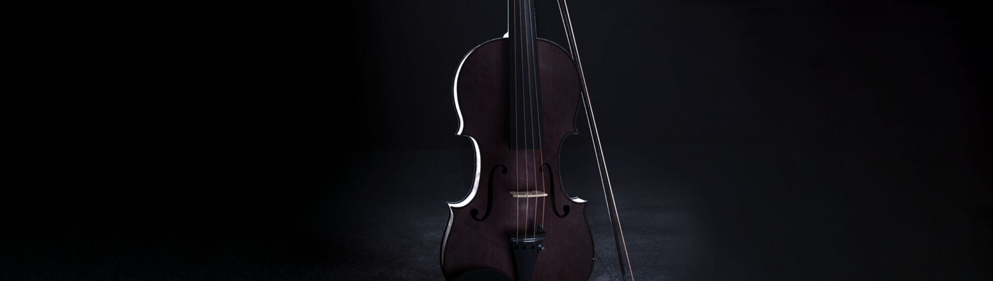 Wavelet Audio - Sample Libraries & Kontakt Instruments